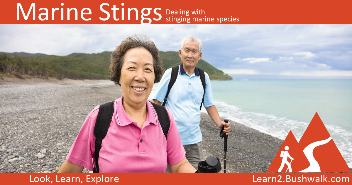 Marine Stings – Learn 2 Bushwalk